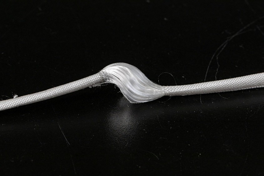 Bio-Inspired Ligament Scaffold (BILS) - Performance - Department of ...